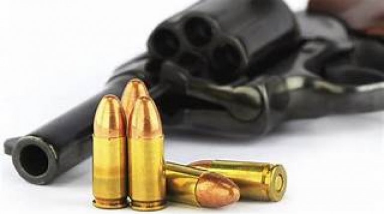 Registro de armas de fogo em 2023 caiu 82% em relação ao ano anterior ...